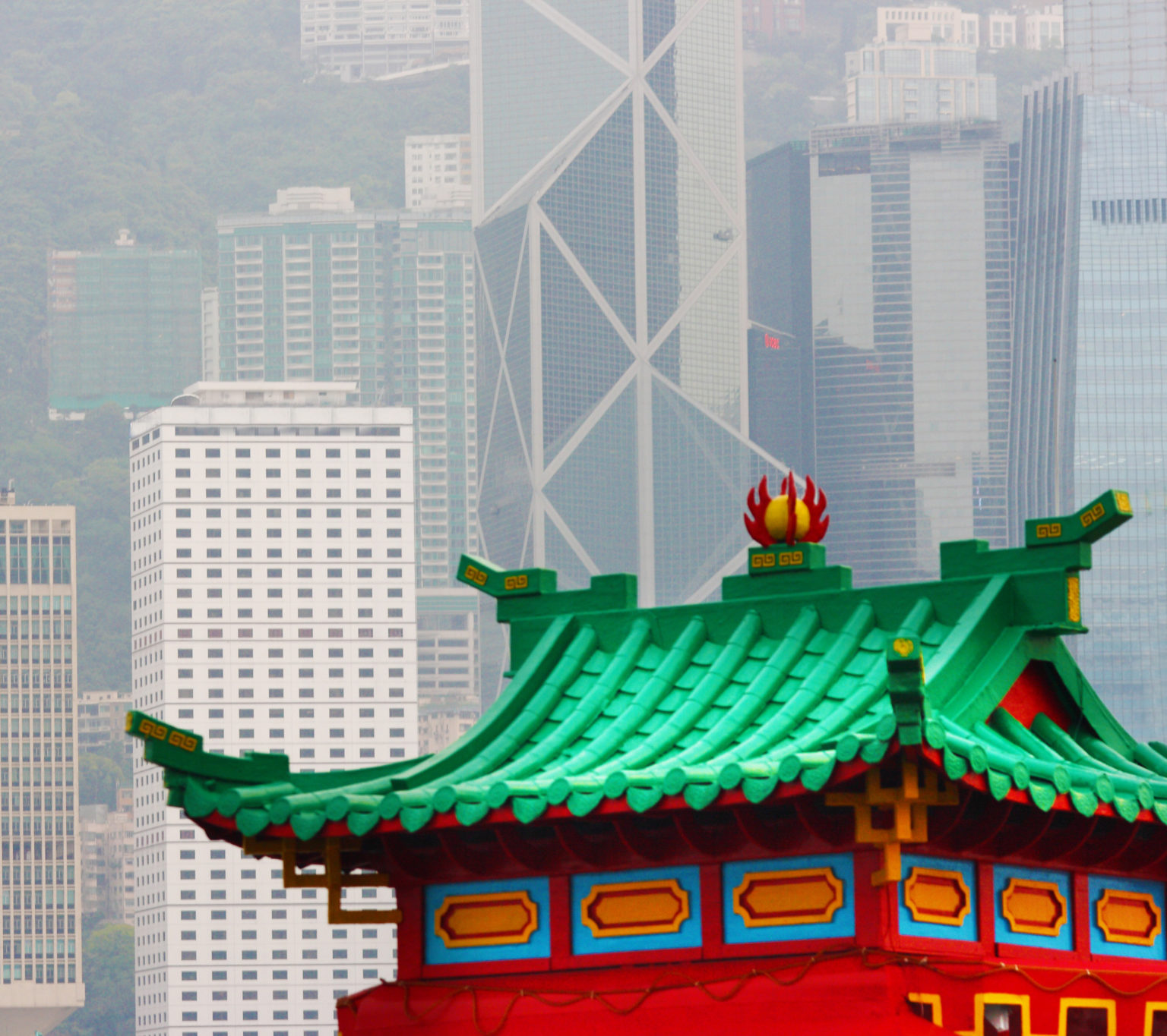 Hong Kong Pig Appeal As Prices Bite Meatex Hong Kong Pig Appeal As Prices Bite Meatex