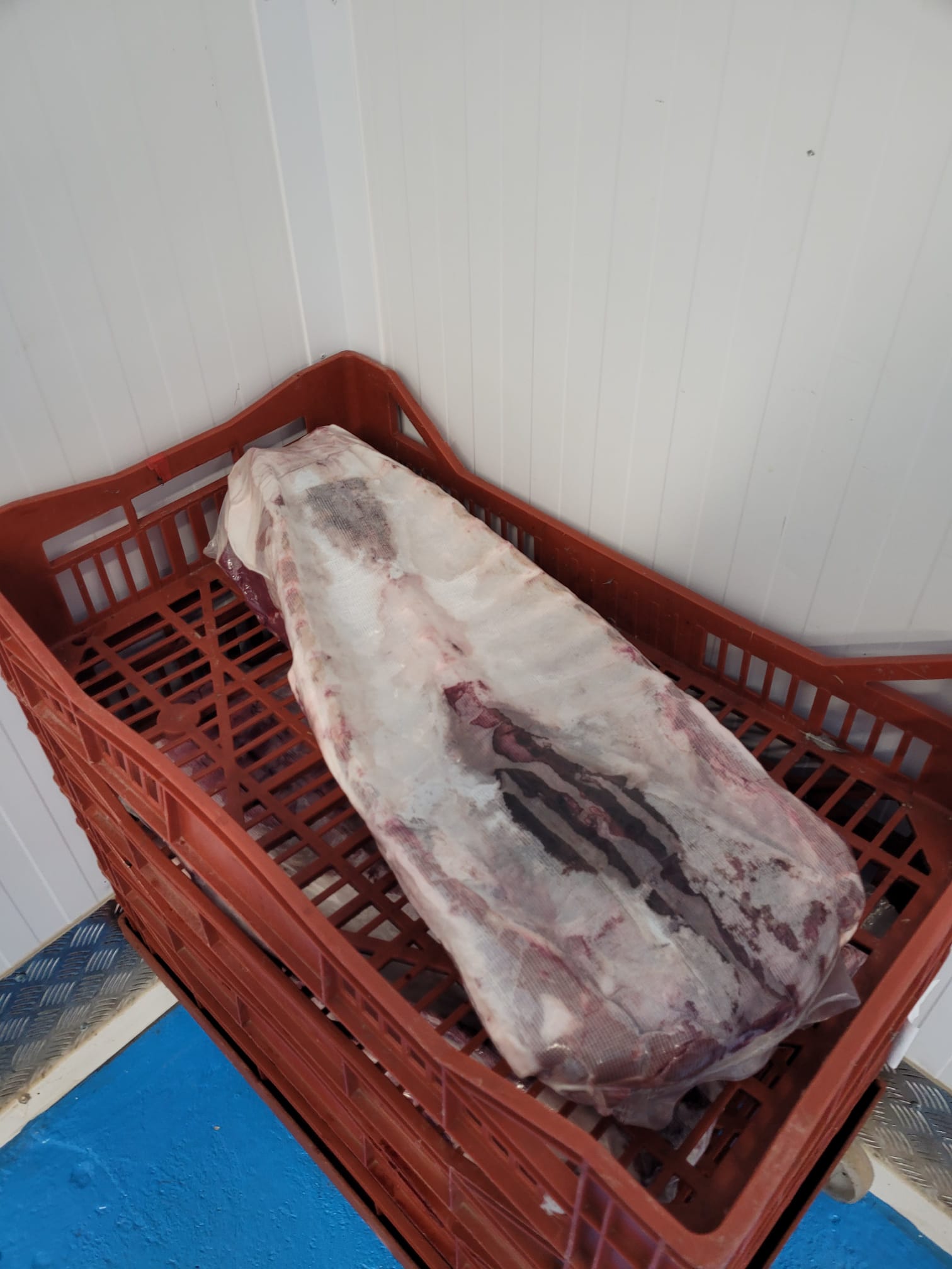 Venison Saddles | from Meatex