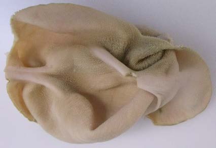 Lamb White Tripes | from Meatex