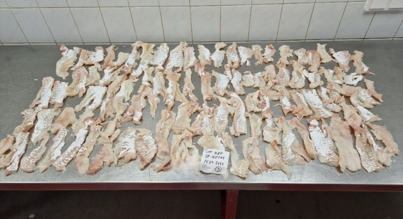 Cod Belly Blocks | from Meatex