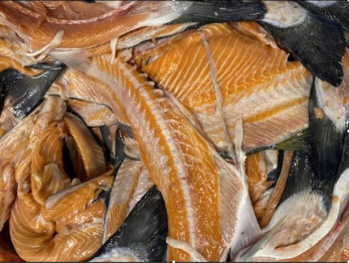 Frozen Salmon Frames – Wholesale Fish Supply | Meatex