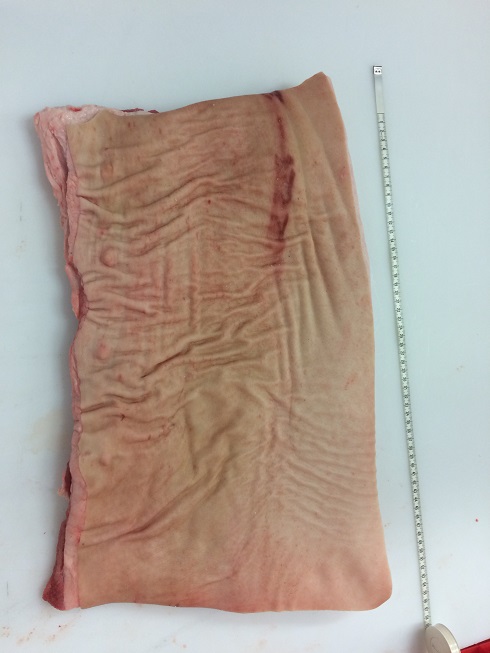 Premium Quality Boneless Pork Bellies: Rind On | from Meatex