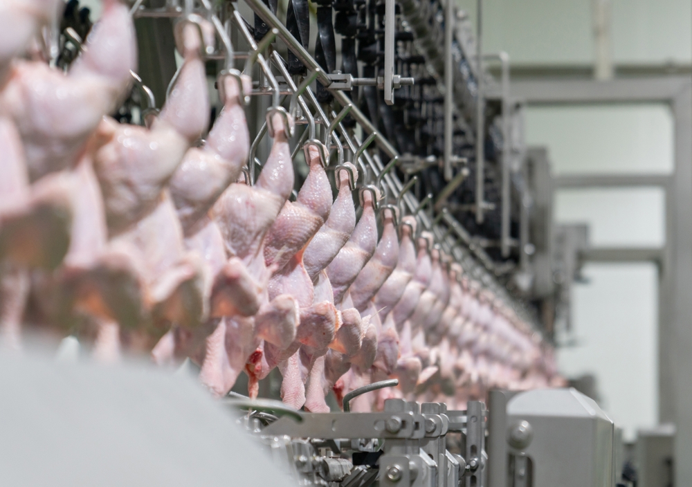 China–Brazil Poultry Trade – Imports May Resume | Meatex News