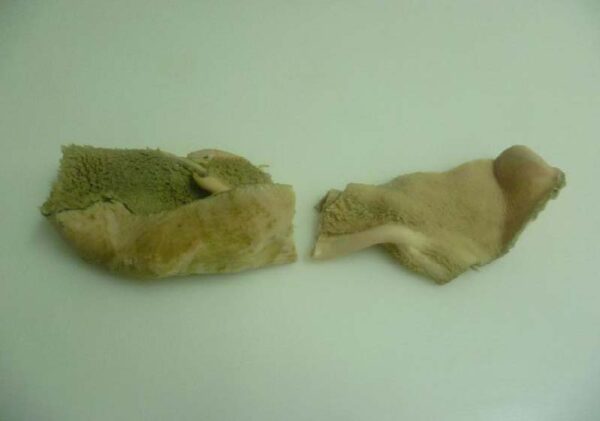 Our Products | Meatex