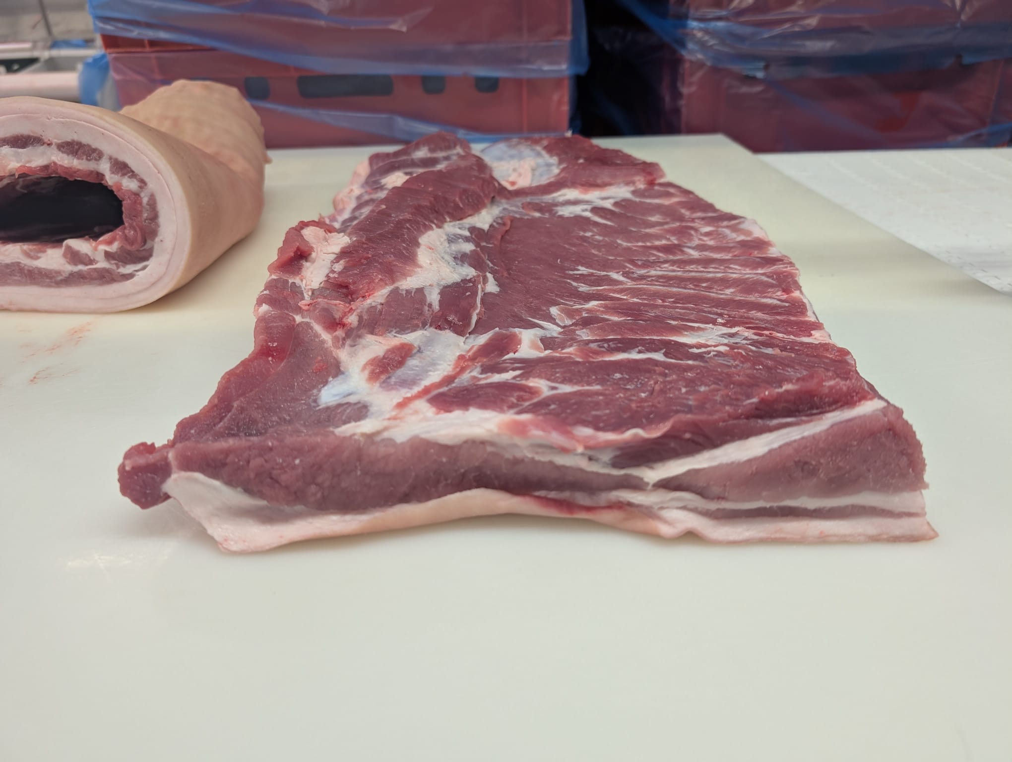 Boneless Pork Bellies – Rindless Frozen Cut | Meatex