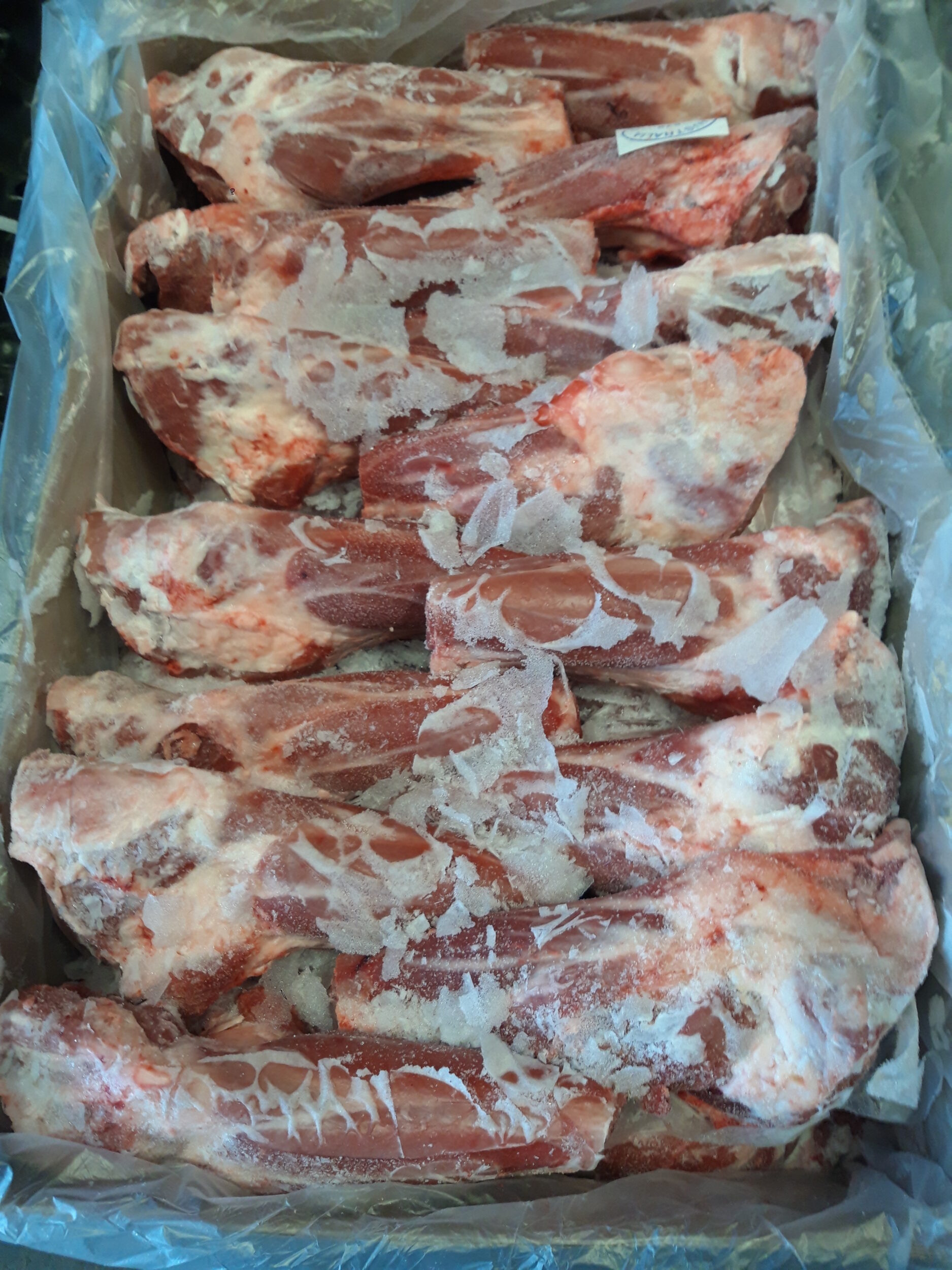 Lamb FQ Shanks – Fresh & Frozen Wholesale | Meatex