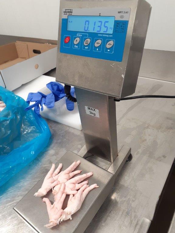 Chicken Paws AB Grade | Wholesale Frozen Chicken Paws Meatex