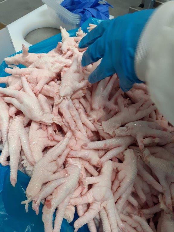 Chicken Paws AB Grade | Wholesale Frozen Chicken Paws Meatex