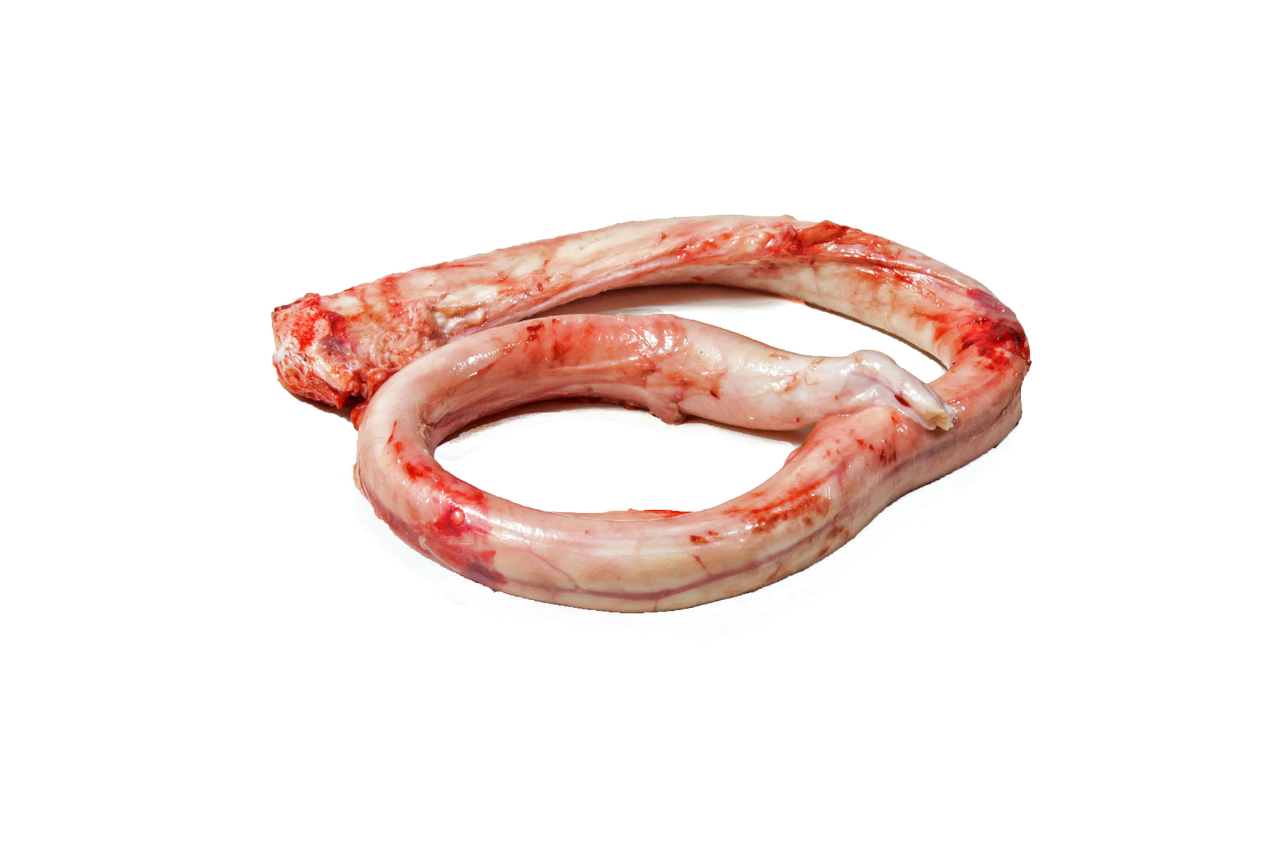 Buy Beef Pizzles – Frozen UK Beef | Meatex