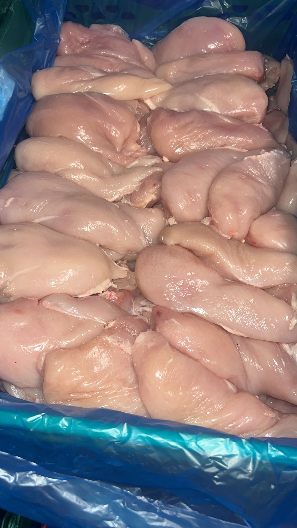 fresh chicken fillets - Daily Fresh UK Production | from Meatex