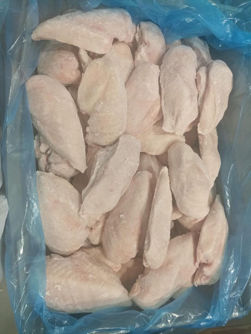 Frozen Chicken Breast Fillet – Boneless, IQF | Meatex