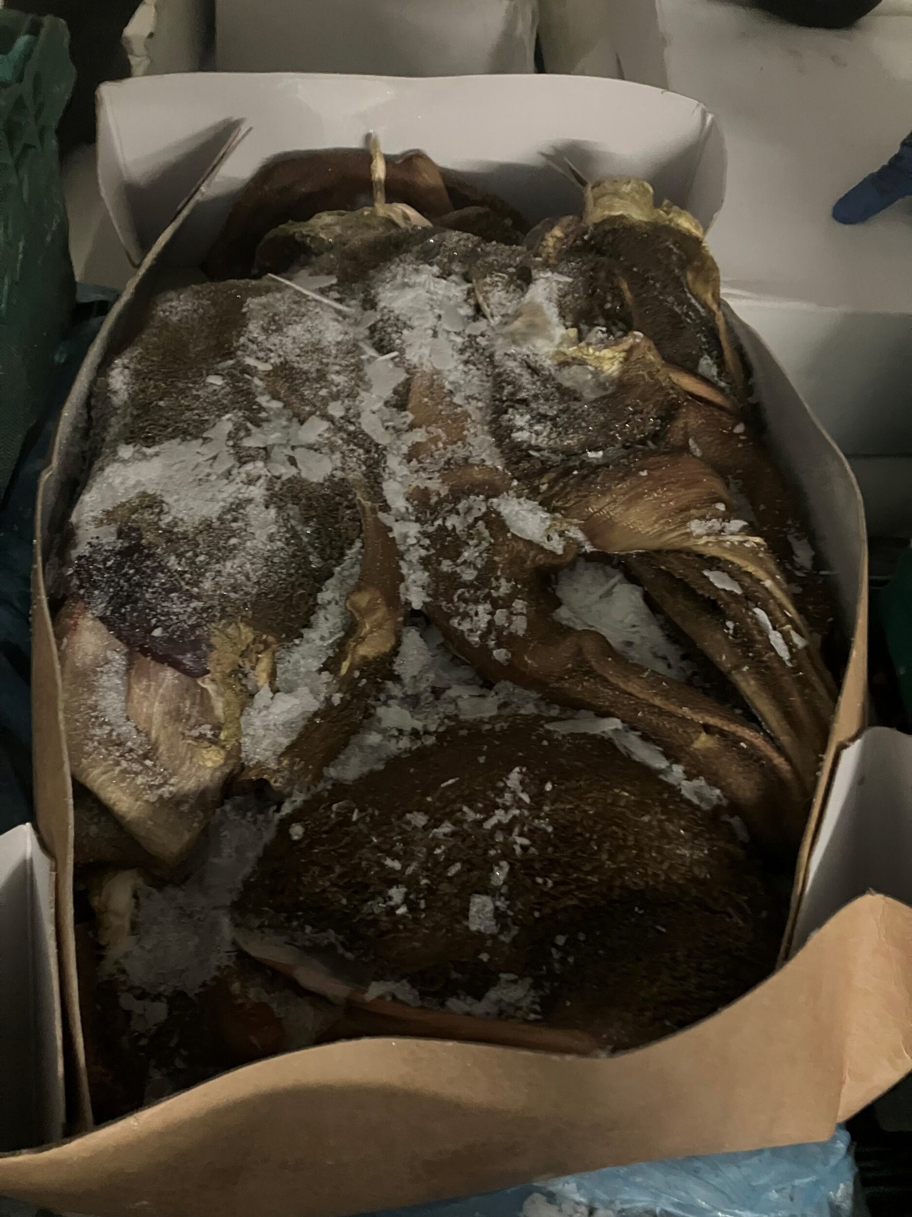 Lamb Green Tripe | Wholesale Frozen Lamb | Meatex