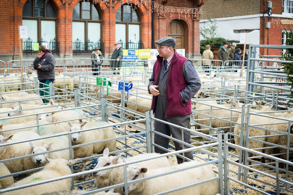 Farmers Hold Power in Meat Sector, Says IAAS | Meatex News