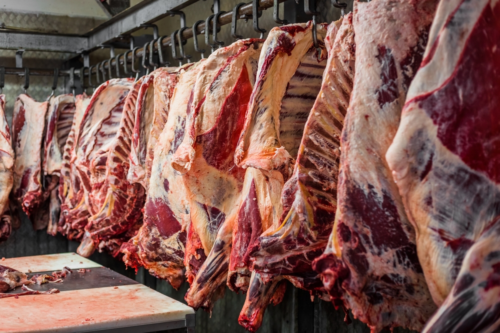 UK Slaughter Statistics Released for 2025 | Meatex News